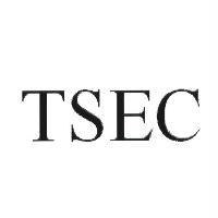 元晶太陽能科技股份有限公司(元晶 TSEC-6443)-台灣公司網